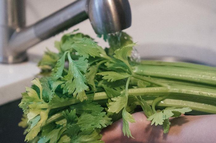 Punya Rasa Segar dan Aromanya Khas, Ini 7 Manfaat Seledri bagi ...