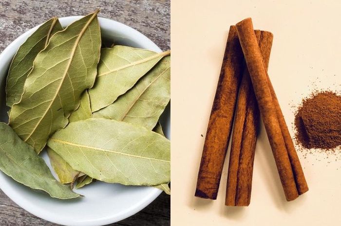 Cara Mengobati Asam Lambung dengan Daun Salam dan Kayu Manis, Lenyap ...