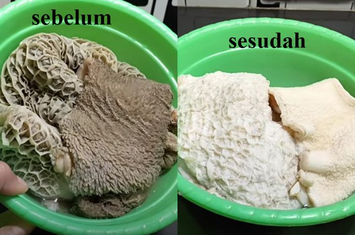 Cara Ampuh Membersihkan Babat Sampai Putih Bersih, Wajib Ditabur 1 ...