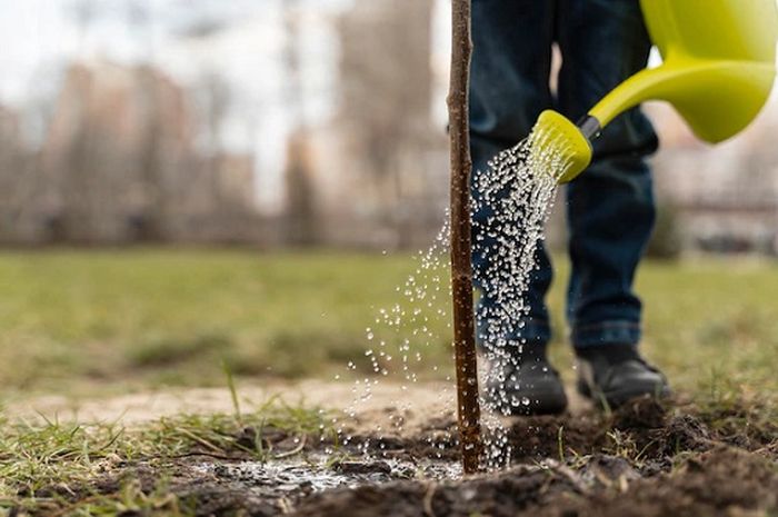 Komponen-Komponen Penyusun Lapisan Tanah, Materi IPA Kelas 9 Tema 9 - Kids