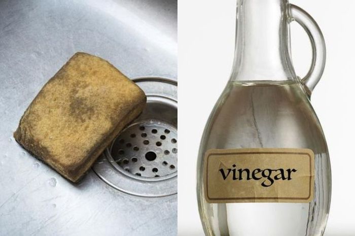 Cara Membersihkan Spons Dekil di Dapur, Agar Bebas dari Bakteri Bisa ...