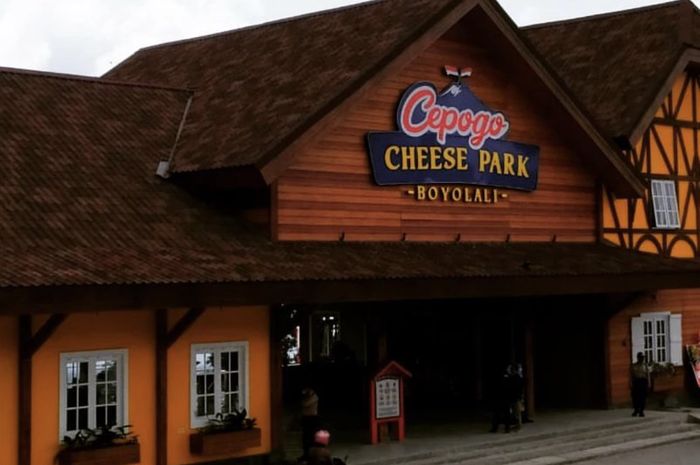Cara Ke Cepogo Cheese Park Boyolali, Tempat Wisata Baru di Jawa Tengah ...