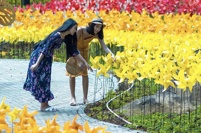 Berapa Harga Tiket Masuk Cimory Dairyland Puncak, Tempat Wisata di ...