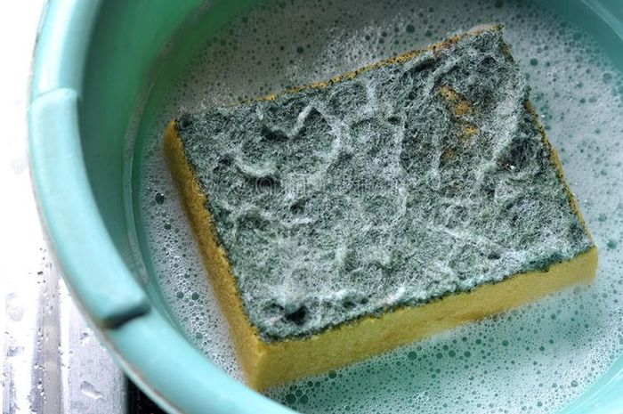 Waduh, Segera Ambil Kalau Taruh Spons Cuci Piring di Air, Ternyata Bisa ...