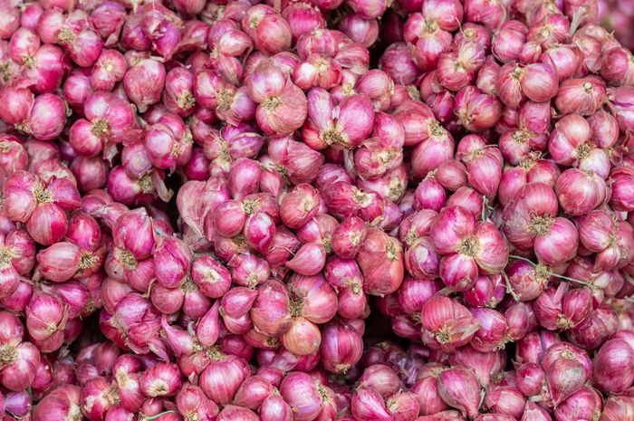 Antigagal! Cara Menyimpan Bawang Merah Agar Awet dan Tidak Benyek Ini ...