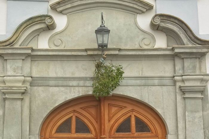 Jadi Dekorasi Pintu saat Natal, Apa Itu Tanaman Mistletoe? Ini ...