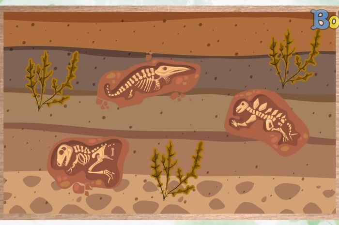 Penjelasan Bahan Bakar Fosil: Dampaknya untuk Manusia hingga Jenis ...