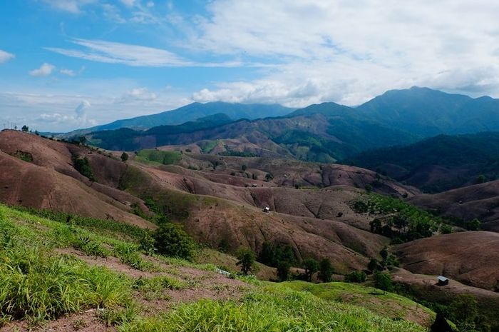 Degradasi Lahan: Penyebab dan Dampaknya terhadap Kehidupan - Adjar