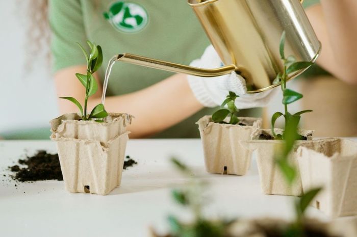 15 Manfaat Gerakan Satu Juta Pohon, Bisa Cegah Pemanasan Global - Bobo