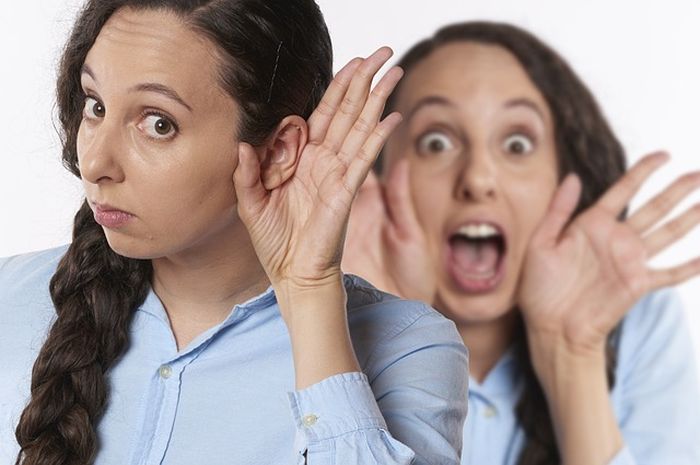 Apa Perbedaan Suara Gema dan Gaung? #AkuBacaAkuTahu - Kids