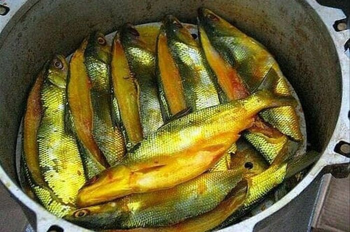 Bocoran Langsung dari Penjual, Ini Ciri-ciri Bandeng Presto yang Enak ...