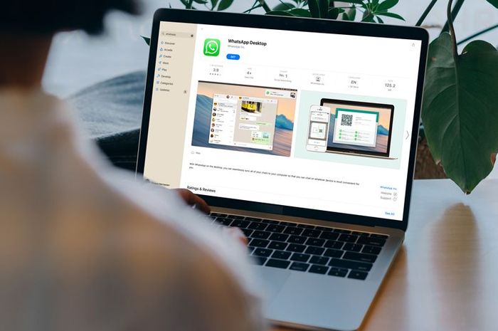 Link dan Cara Instal WhatsApp Beta Mac Terbaru, Unduh di Sini ...