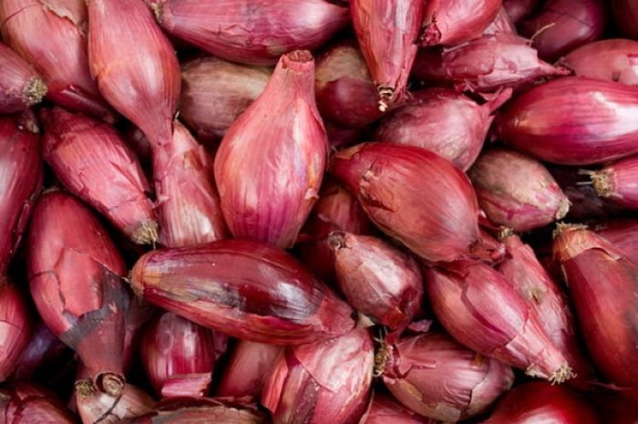 Cara Memilih Bawang Merah yang Segar untuk Stok Bumbu Dapur, Jangan ...