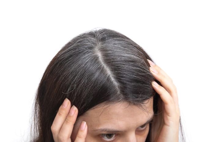 Mengapa Ada Orang yang Tumbuh Uban di Usia Muda? Ini Penyebab dan Cara Mengatasinya - Bobo