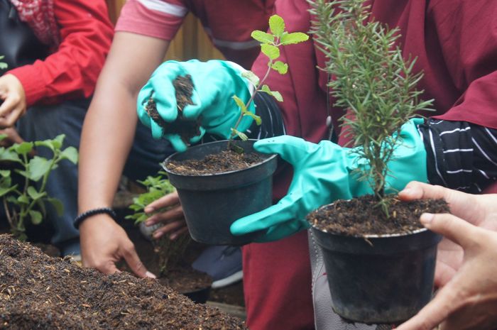 Rahasia Merawat Tanaman Hias Agar Tetap Cantik dan Sehat Sepanjang Tahun, Ternyata Begini - Nakita