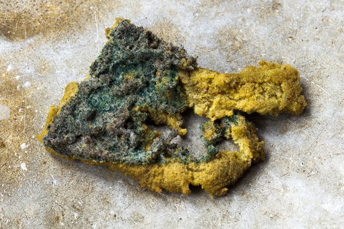 Jangan Tunggu Sampai Rusak! Ini Waktu Maksimal Pemakaian Spons Cuci ...