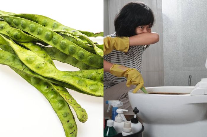 3 Cara Jitu Menghilangkan Bau Pesing Karena Makan Pete di Kamar Mandi ...
