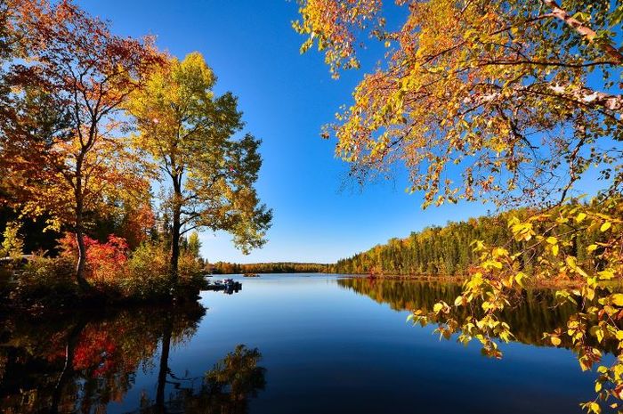 Apa Itu Ekosistem? Ini Pengertian dan Komponen-Komponen Ekosistem - Bobo