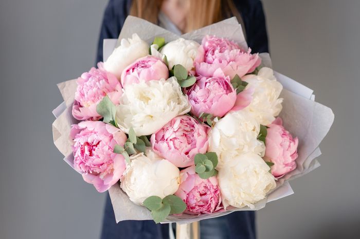 4 Jenis Bunga yang Cocok Jadi Kado Valentine Beserta Maknanya - Nova