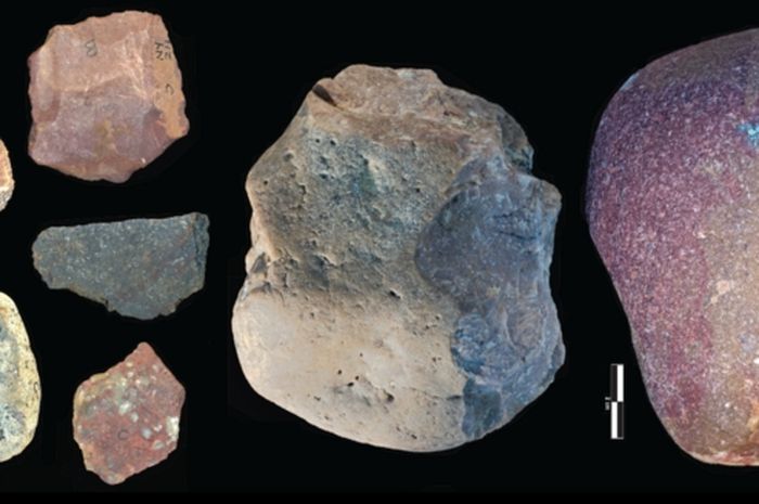 Sejarah Perkakas Batu Awal dari Situs Penjagalan Berusia Jutaan Tahun ...