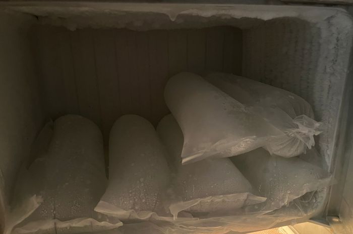 Cara Mudah dan Efektif Membersihkan Bunga Es di Freezer Tanpa Mematikan ...