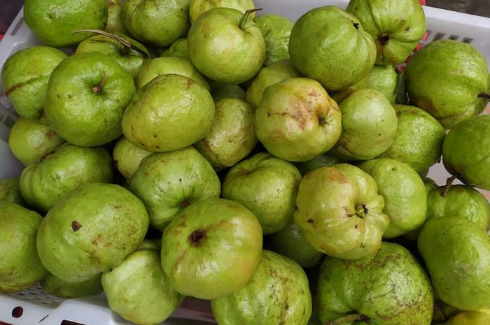 Teksturnya Renyah Dan Rasanya Manis Ini 5 Manfaat Jambu Kristal Adjar