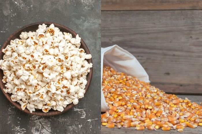 Apakah Jagung Popcorn Harus Dicuci Dulu Sebelum Digoreng Supaya Bisa ...