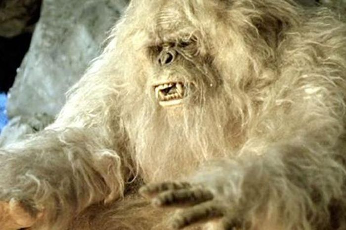 6 Kekuatan Khodam Kera Putih Gaib, Bisa Berikan Kekuatan Fisik dan ...