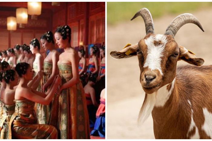 Termasuk Memilih Selir Dengan Kambing, Ini 4 Cerita Gila Kaisar ...