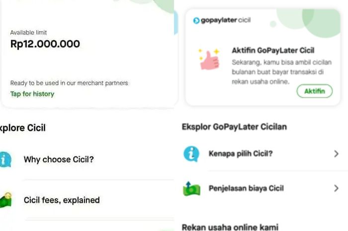 Tak Semua Pengguna Dapat Intip Tips Jitu Bisa Aktifkan Gopaylater