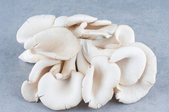 Apakah Jamur Tiram Perlu Dicuci Sebelum Dimasak, Ternyata Begini Cara ...