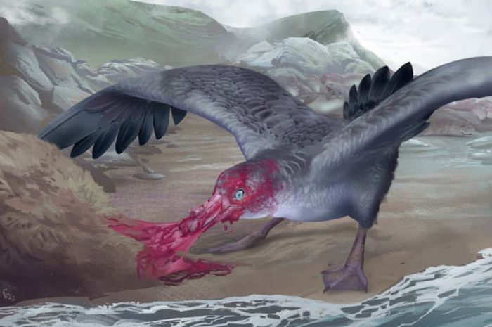 Paleontolog Menemukan Fosil Burung Laut Raksasa di Selandia Baru ...