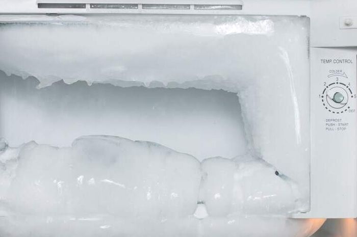 Cara Cepat Cairkan Bunga Es Tanpa Harus Lepas Colokannya, Coba Buat ...