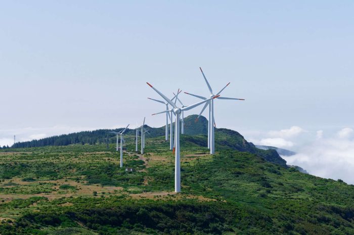 Kenapa Angin Bisa Jadi Sumber Energi? Materi Kelas 3 SD Kurikulum ...