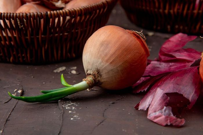 Selama Ini Bingung, Apakah Bawang Bombay Bertunas Aman Dimakan? Begini ...