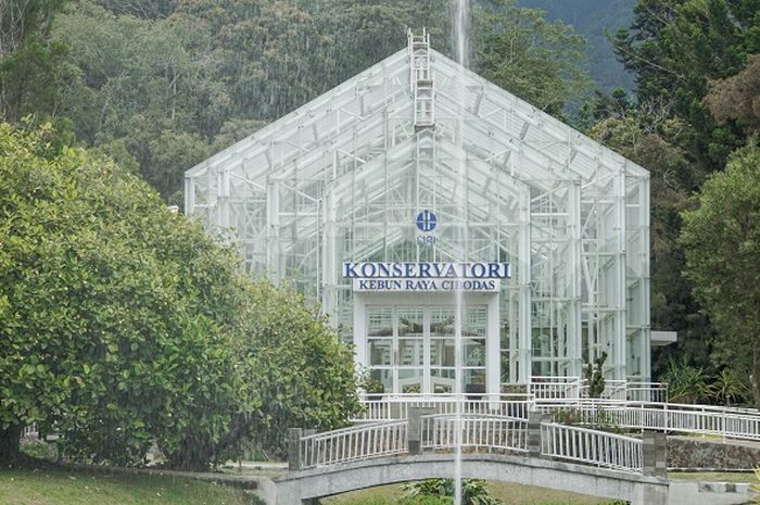 Intip 6 Spot Kece Kebun Raya Cibodas, Wisata Alam Paling Favorit di Cianjur