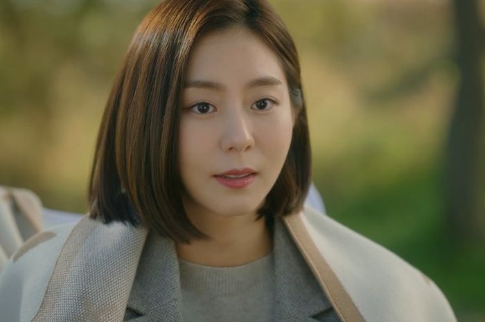 Profil Pemain Drama Korea Hyo Shim’s Independent Life, Uee Awali Karier ...