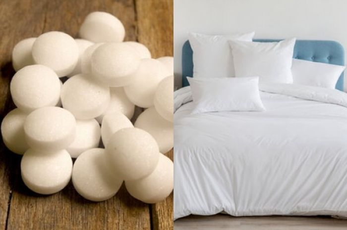 Gak Sengaja Taruh Kamper Di Atas Tempat Tidur, dalam Hitungan Menit ...