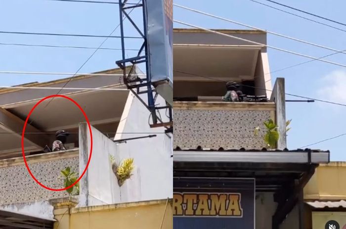 Video Viral Sniper Berjaga di Balkon Lantai 2 Rumah Warga, Ternyata ...