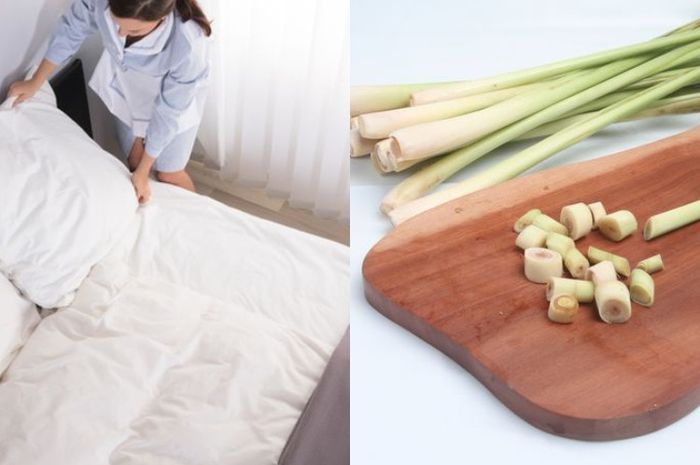 Malam Ini Iris-iris 3 Batang Serai dan Letakkan di Bawah Kasur, Jangan ...