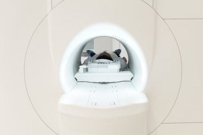 Segini Biaya CT Scan di Rumah Sakit Jakarta Tanpa BPJS Kesehatan - Nakita