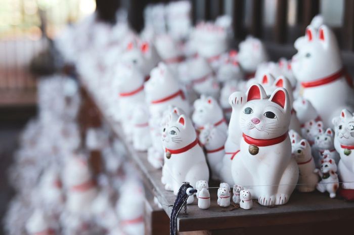 Menarik, Ternyata Ini Alasan Kenapa Kucing Begitu Dihormati di Jepang ...