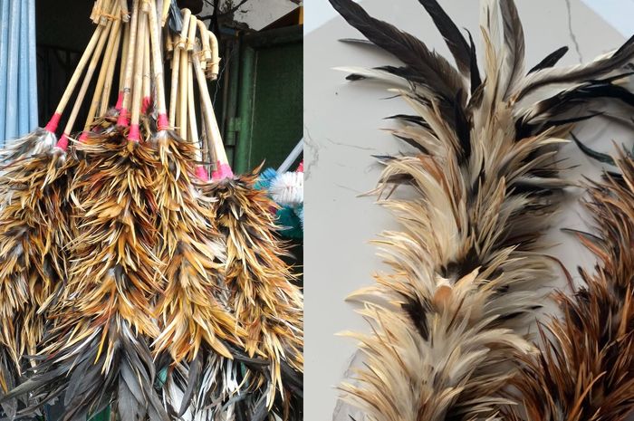 Diam-diam Jadi Penyebab Rumah Jadi Kelihatan Kumuh, Begini Cara ...