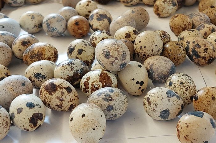 Resep MPASI 1 Tahun: Sup Telur Puyuh Daging Ayam yang Praktis dan ...