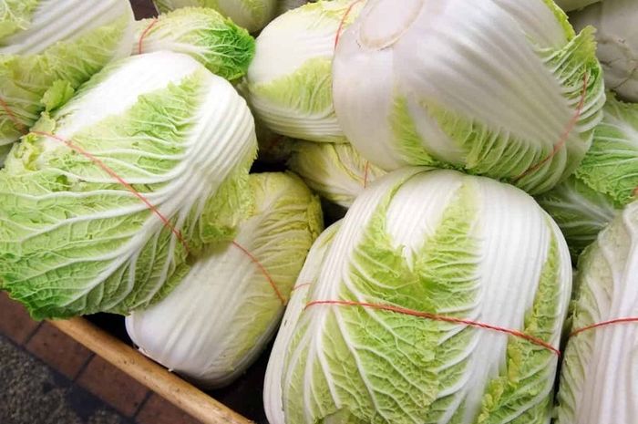 Rugi Kalau Malas Konsumsi, Rajin Makan Sayur Sawi Putih Ternyata Bisa ...