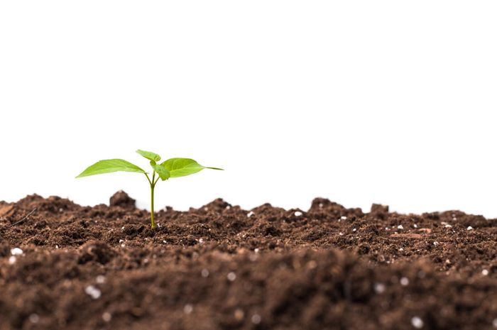 Mengenal Jenis Tanah Berdasarkan Bahan dan Proses Pembentukan, Materi ...