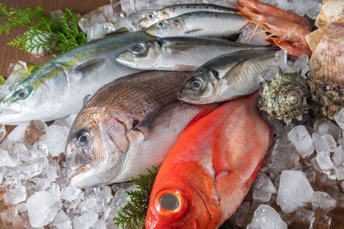 Hati-hati Ditipu Penjual! Ini Ciri Ikan Mengandung Formalin yang Tak ...
