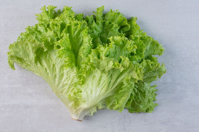 Gak Bakal Benyek Kalau Selada Air Disimpan Pakai Cara Ini, Lakukan ...