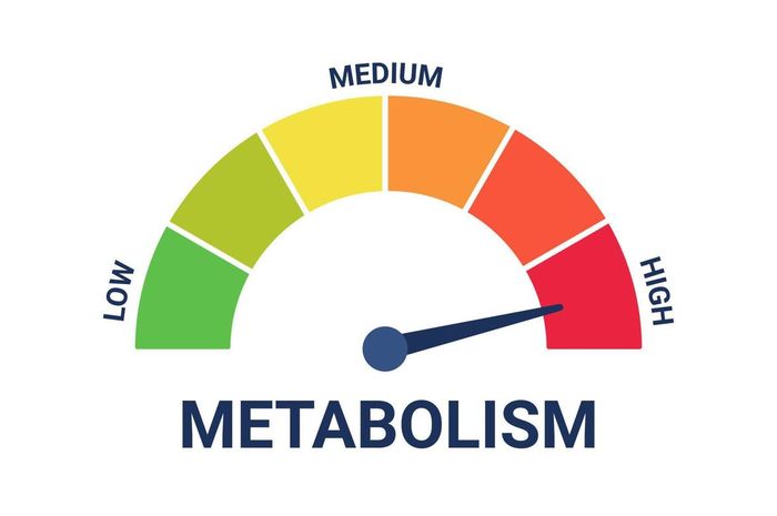 Enggak Selamanya Bagus, Ini 5 Kerugian Punya Metabolisme Tubuh Cepat ...