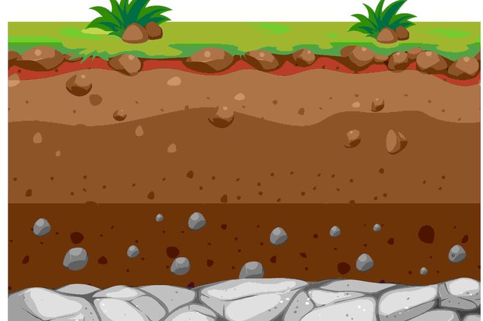 Mengenal Struktur Tanah, Ini 3 Lapisan yang Menyusun dan Penjelasannya ...